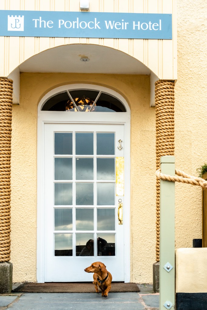 Porlock Weir Hotel is open for bookings – Exmoor Food Fest